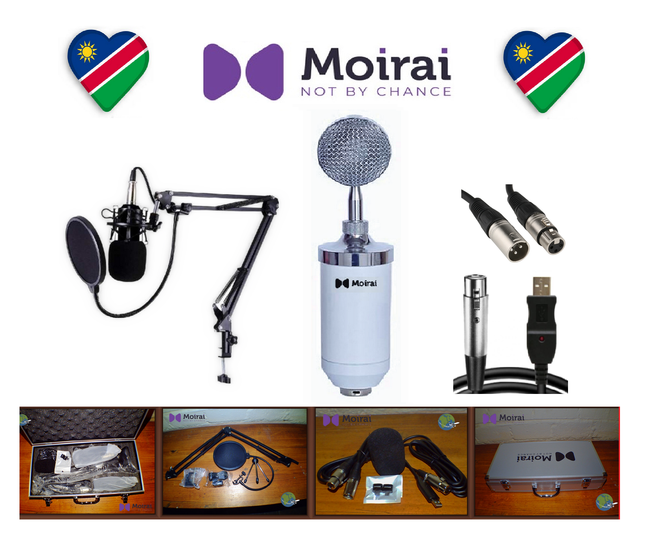 Moirai E860 Studio Condenser Mic Set | DotDune